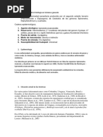 CAPÍTULO 17 - Prurigo Por Insectos (Cimiciasis) | PDF | Insecticida ...
