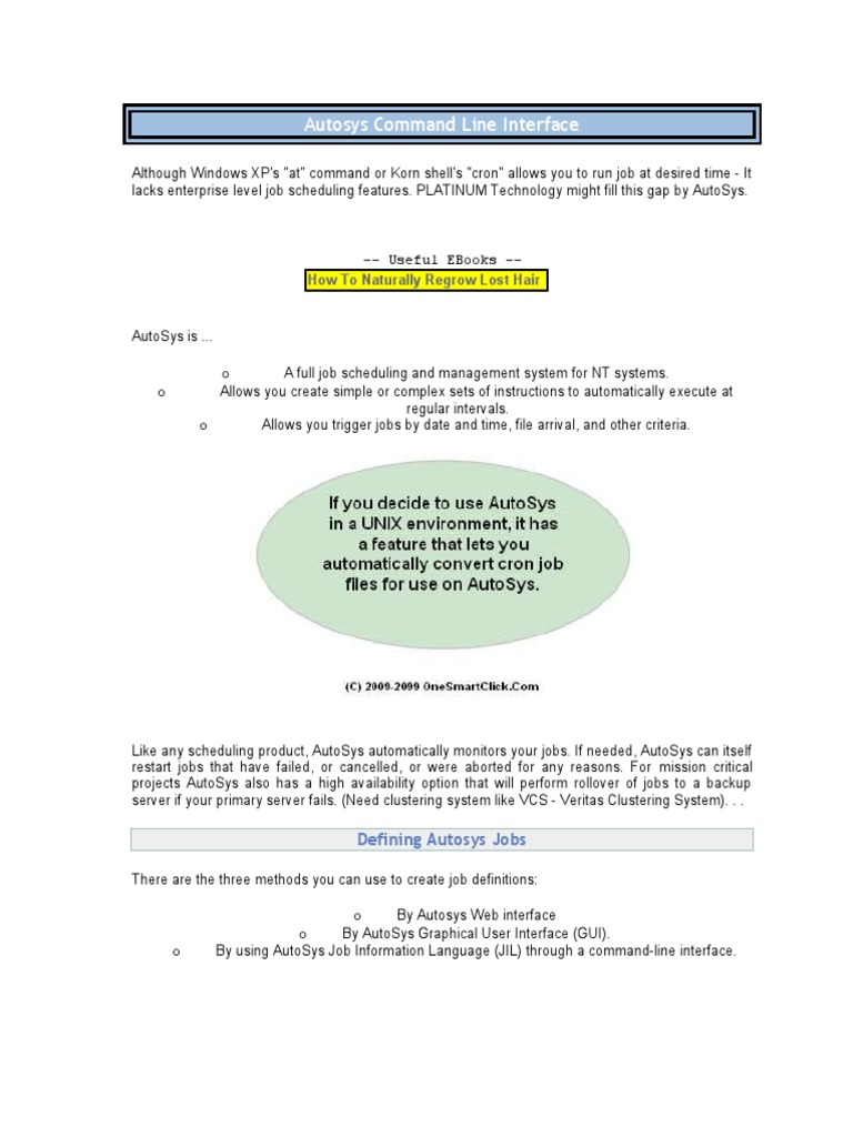 Autosys Command Line Interface | PDF | Command Line Interface | Computer Science
