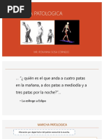 Marcha de Steppage | PDF | Pie | Rodilla