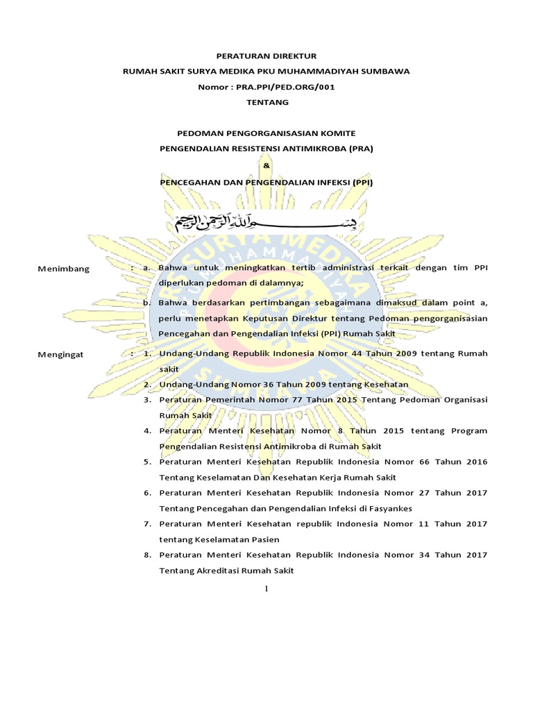 Pedoman Pengorganisasian Ppi & Ppra | PDF