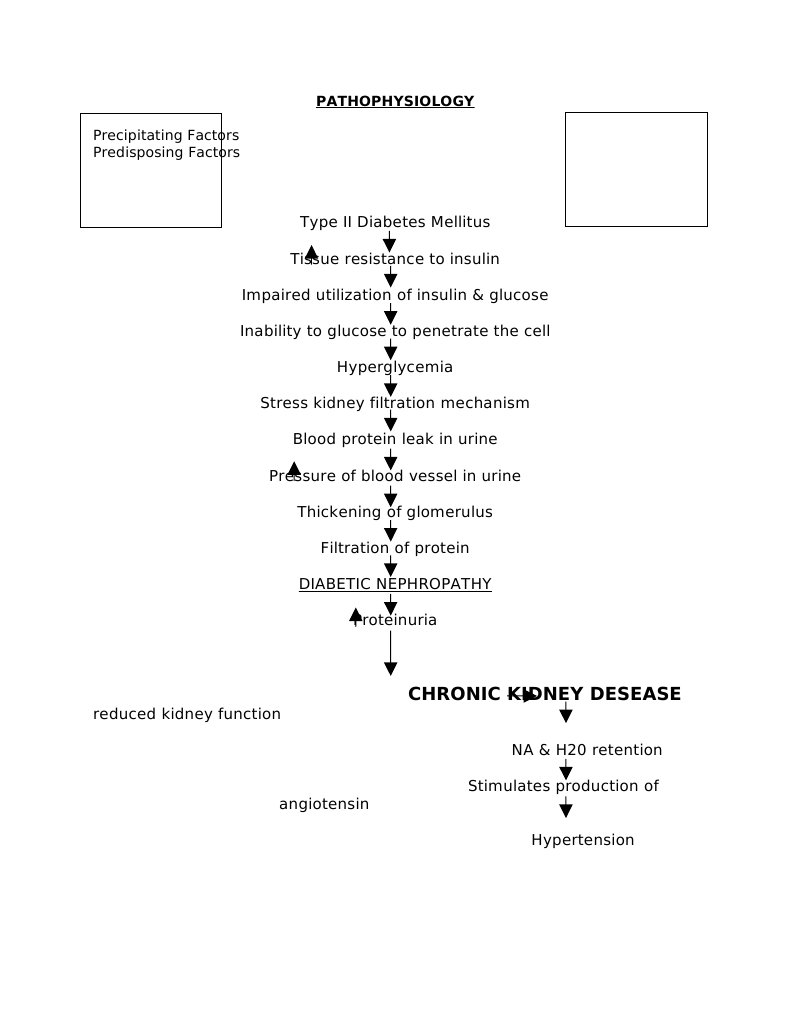 Diabetic Nephropathy Pathophysiology | PDF