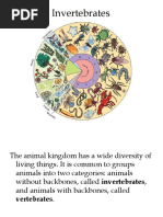 Animal Classification Chart - Invertebrates | PDF | Invertebrate | Zoology