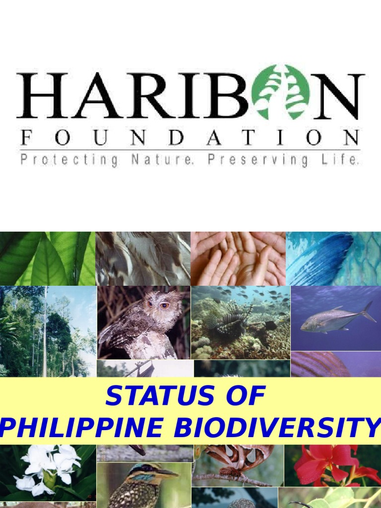 Philippine Biodiversity | PDF | Biodiversity | Homo