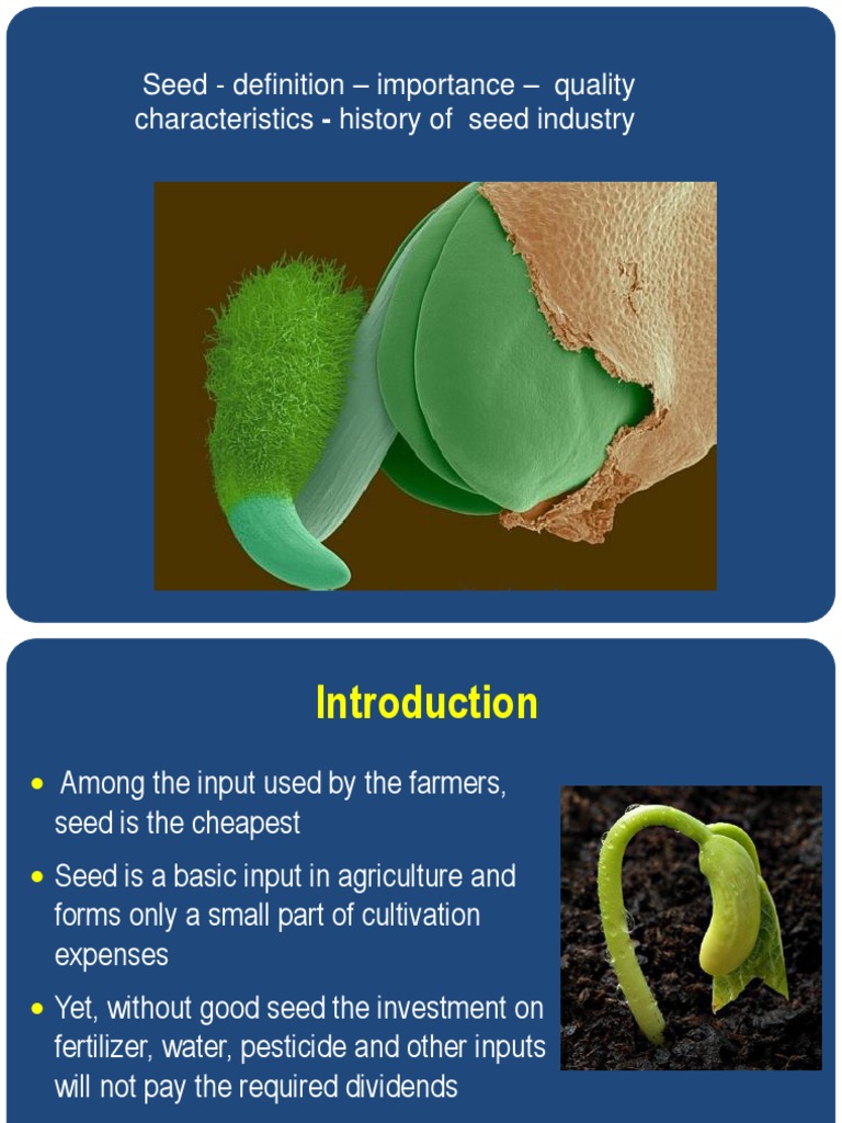 1 - Lecture - Seed Definition - 14.8.19 | PDF | Seed | Germination