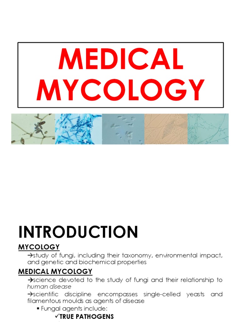Medical Mycology | PDF | Fungus | Mold