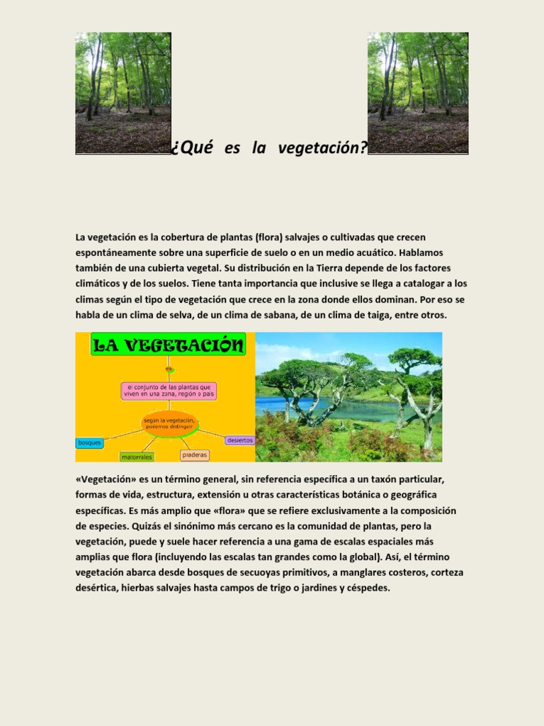 Que Es La Vegetación | PDF