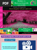 Módulo 17 Proyecto Integrador | PDF