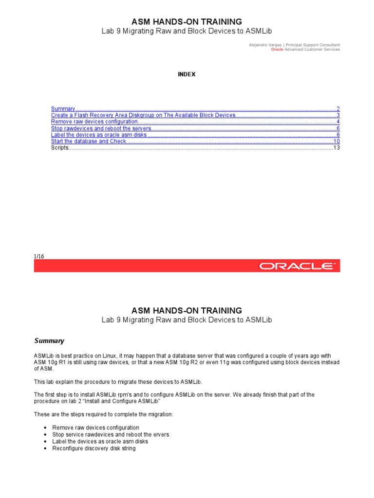 Lab9 Migrating Raw and Block Devices To ASMLib | PDF | Oracle Database ...