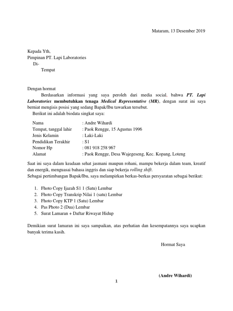 CV Dan Lamaran Andre | PDF