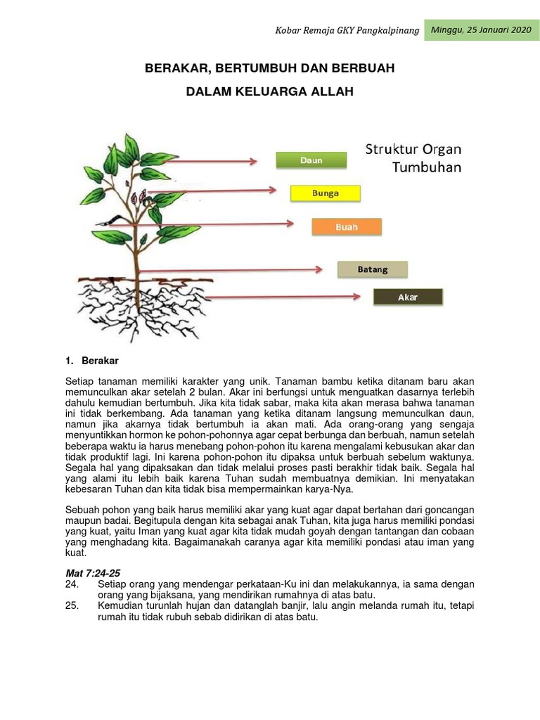 Berakar, Bertumbuh Dan Berbuah-Kobar Remaja | PDF