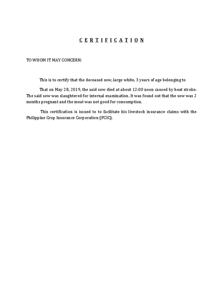 SOW | PDF | Technology & Engineering