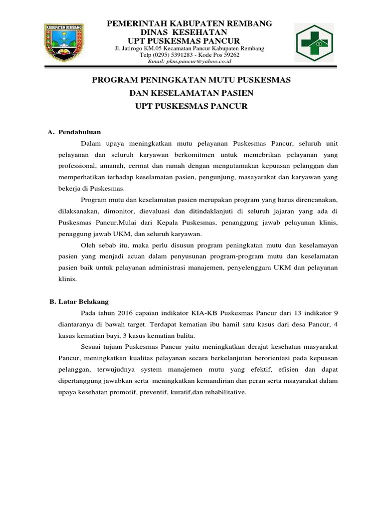 Program Peningkatan Mutu Puskesmas | PDF