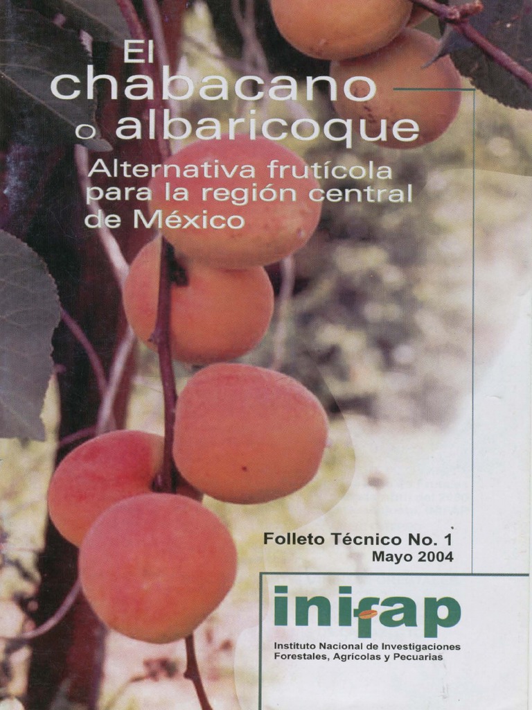 04 05 Chabacano | PDF