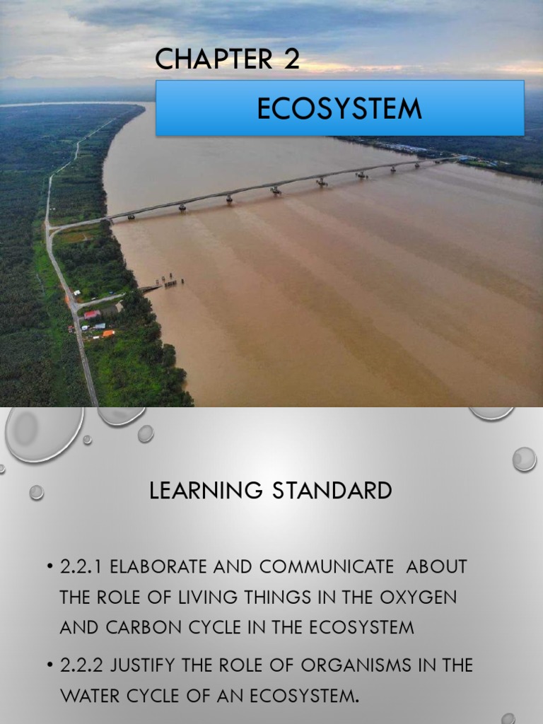 Form 2 Chapter 2 Nutrient Cycle | Download Free PDF | Carbon Cycle | Ecosystem