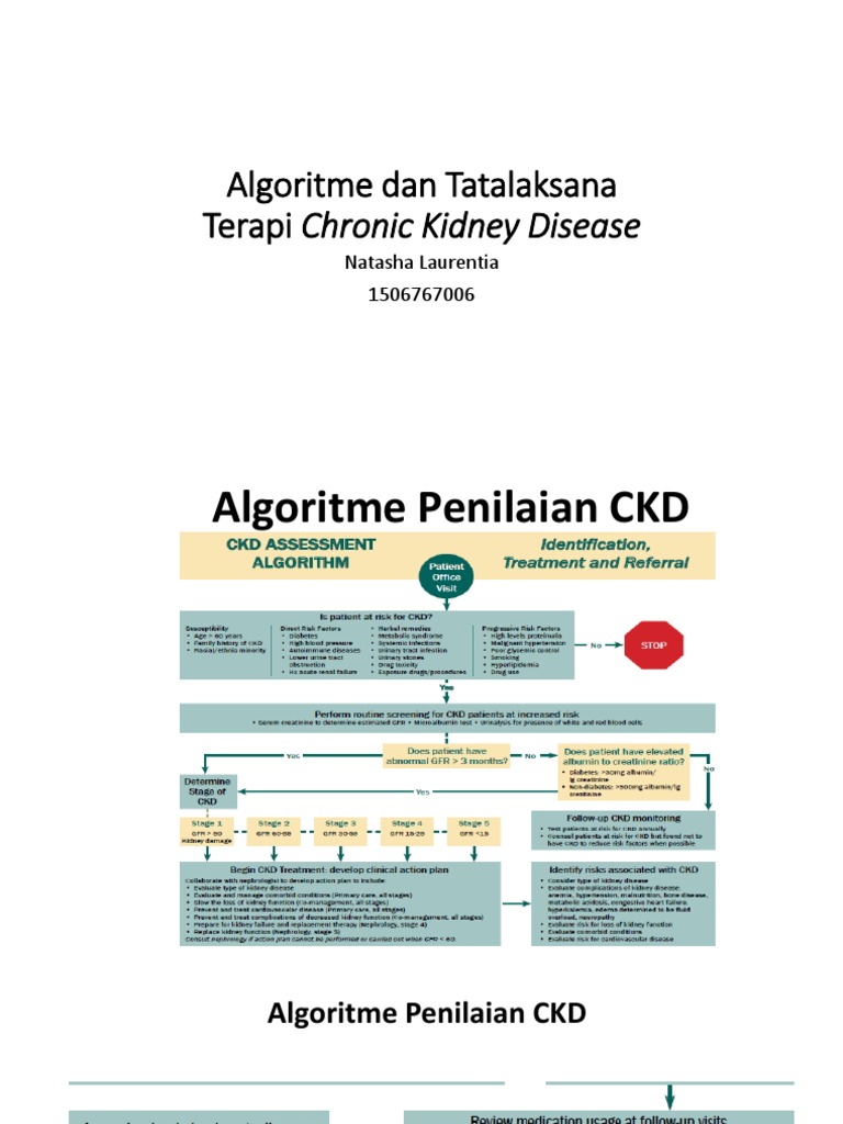 Tatalaksana Penyakit Ginjal Kronik | PDF