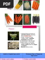 WALC 8 Word Findingml | PDF