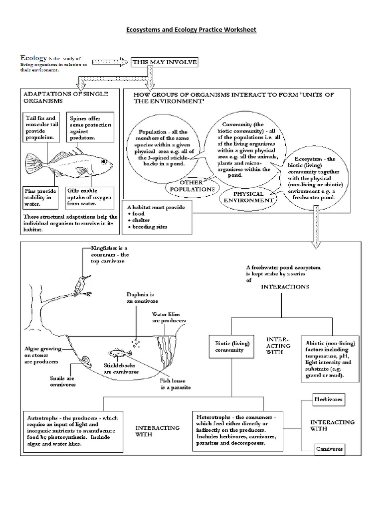 Ecosystems and Trophic Levels Worksheet | PDF | Ecology | Food Web