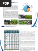 Provincial Agricultural Profile (Laguna) | PDF