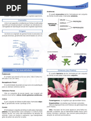 Morfologia da flor: o cálice e a corola das angiospermas