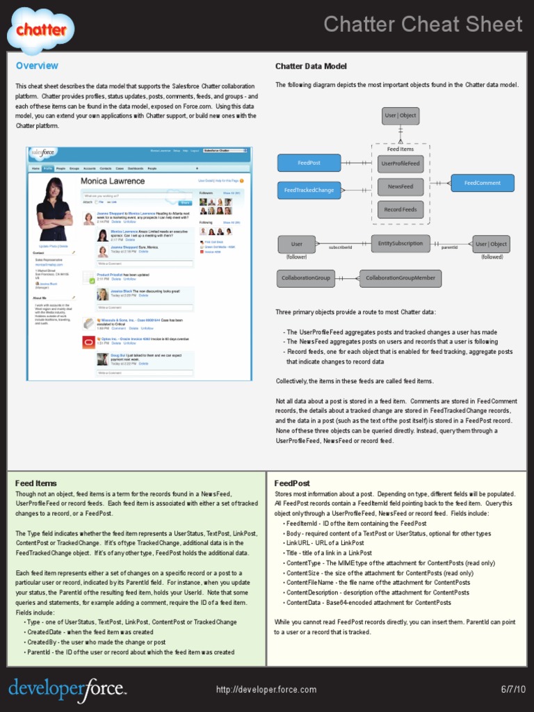 Understanding Salesforce Feed Items | PDF | Information Technology ...