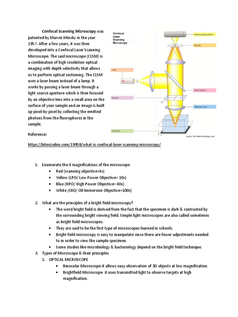 Confocal Scanning Micros | PDF | Microscope | Fluorescence Microscope