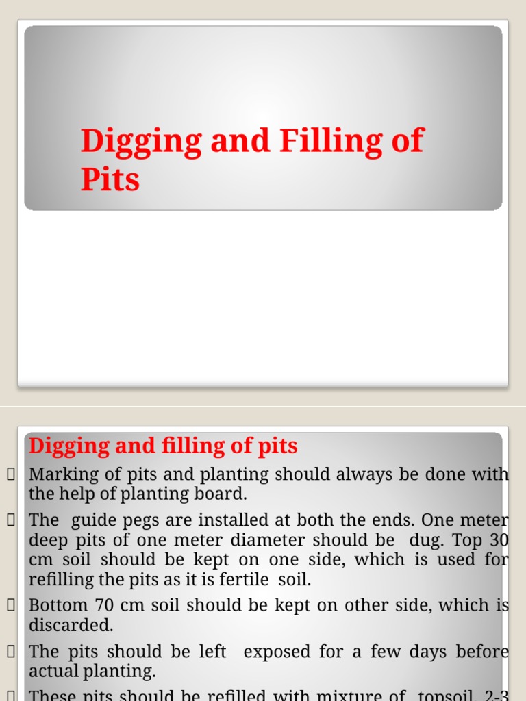 Digging and Filling of Pits | PDF | Trees | Soil