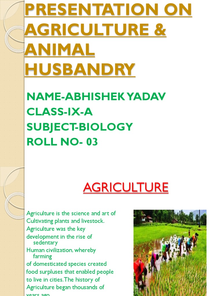 Presentation On Agriculture & Animal Husbandry | PDF | Honey Bee ...