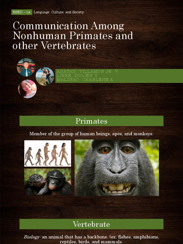 Nonhuman Primate and Vertebrate Communication | PDF