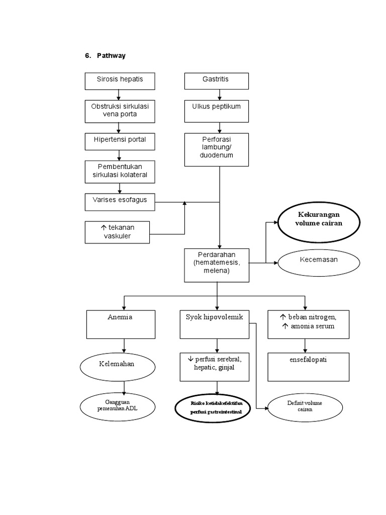 Pathway Melena | PDF