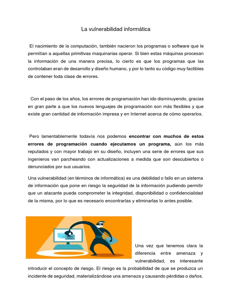 La Vulnerabilidad Informática | PDF | La seguridad informática | Seguridad