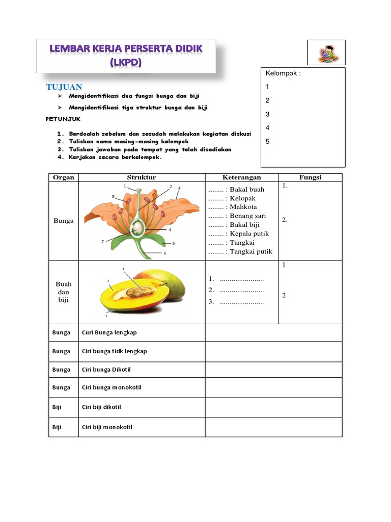 3 LKPD Bunga Dan Biji | PDF