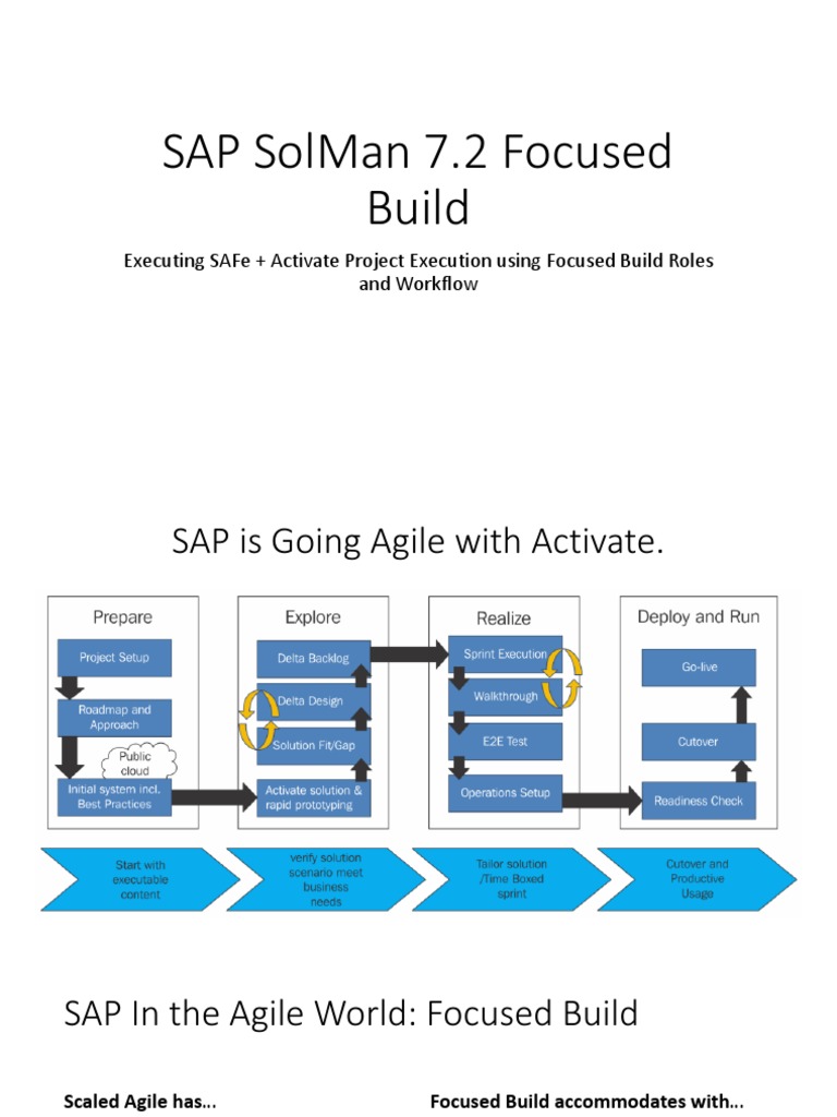 SAP SolMan FB | PDF