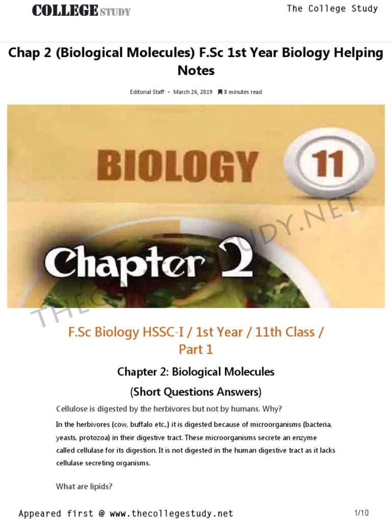 Biological Molecules: Key Concepts and Notes | PDF | Nucleotides | Rna