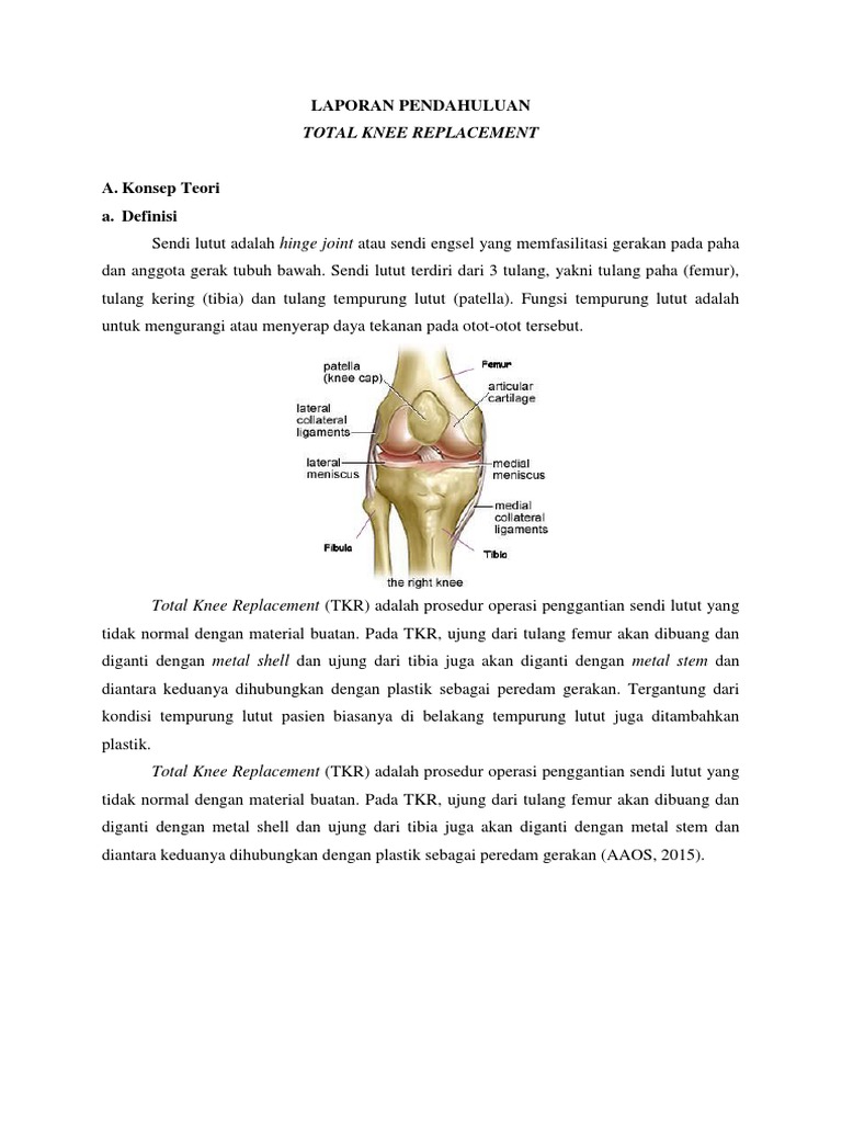 LP TKR Ruang 17 | PDF | Ilmu Sosial | Kesehatan Holistik