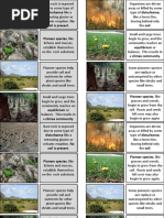 Understanding Man-Made and Natural Calamities | PDF | Natural Disasters ...