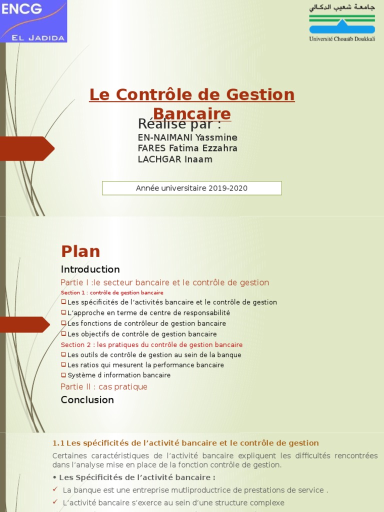Controle de Gestion Bancaire 11 | PDF | Ratio financier | Banques