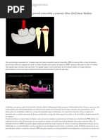 Clasificación de Seibert | PDF | Ciencia y matemáticas