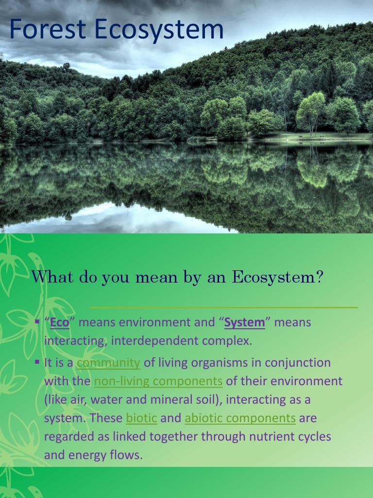 Forest Ecosystem | PDF | Forests | Ecosystem