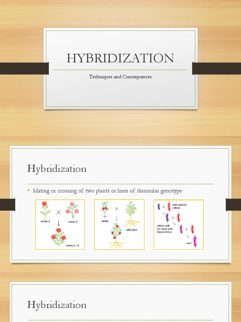 Plant Hybridization | PDF | Hybrid (Biology) | Plant Breeding