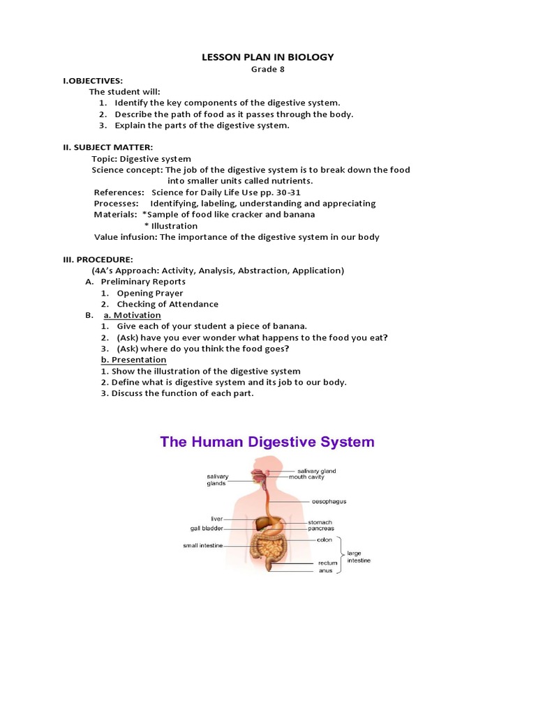 Digestive System Lesson Plan Talavera - Final | PDF | Human Digestive ...