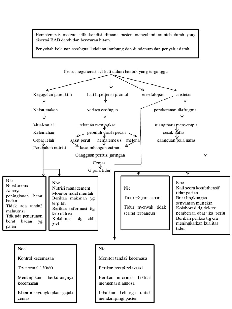 Woc Hematemesis Melena-1 | PDF