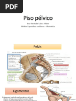 El Músculo Elevador Del Ano | PDF | Pelvis