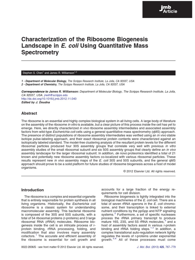 Ribosome Biogenesis Paper 1 | PDF | Ribosome | Ribosomal Rna