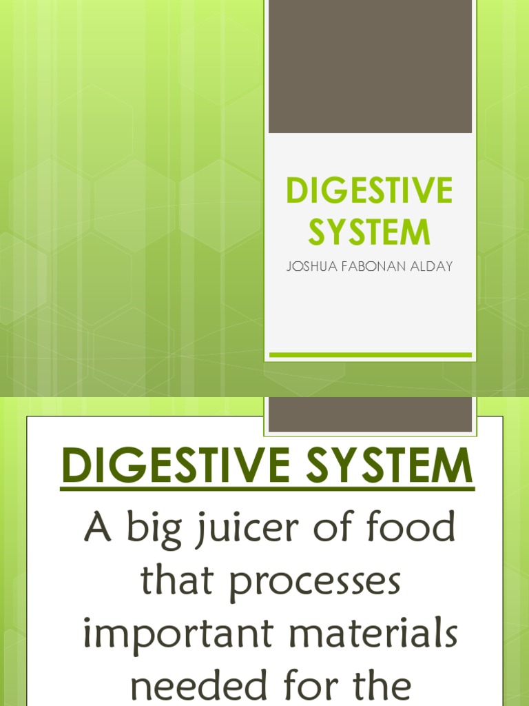 Digestive System | Download Free PDF | Stomach | Small Intestine
