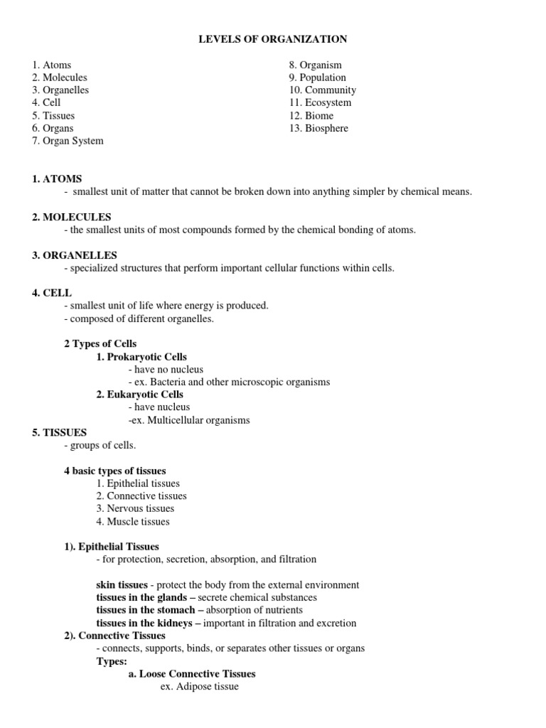 Levels of Organization | PDF | Human Body | Tissue (Biology)