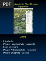 Microscopic Study of Moss Antheridia | PDF | Moss | Botany