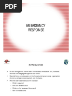 ERT Organizational Structure Overview | PDF