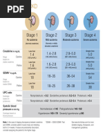 IRIS CKD Staging Guide for Dogs and Cats | PDF | Chronic Kidney Disease ...