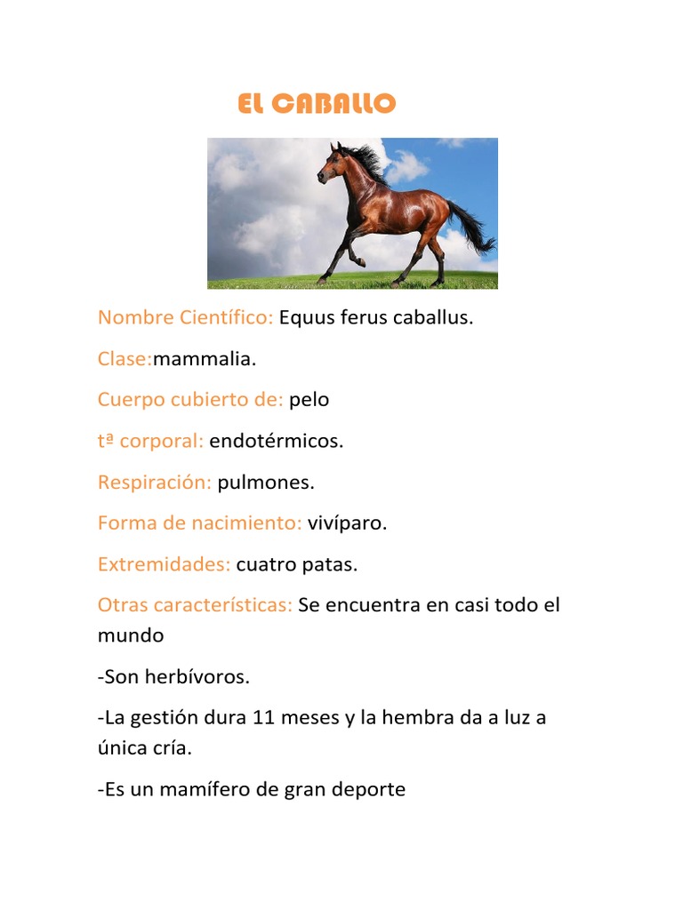 El Caballo | PDF