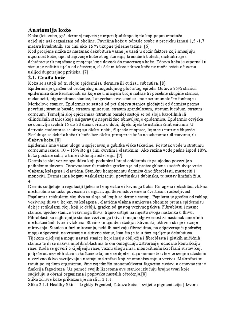 Anatomija Kože | PDF